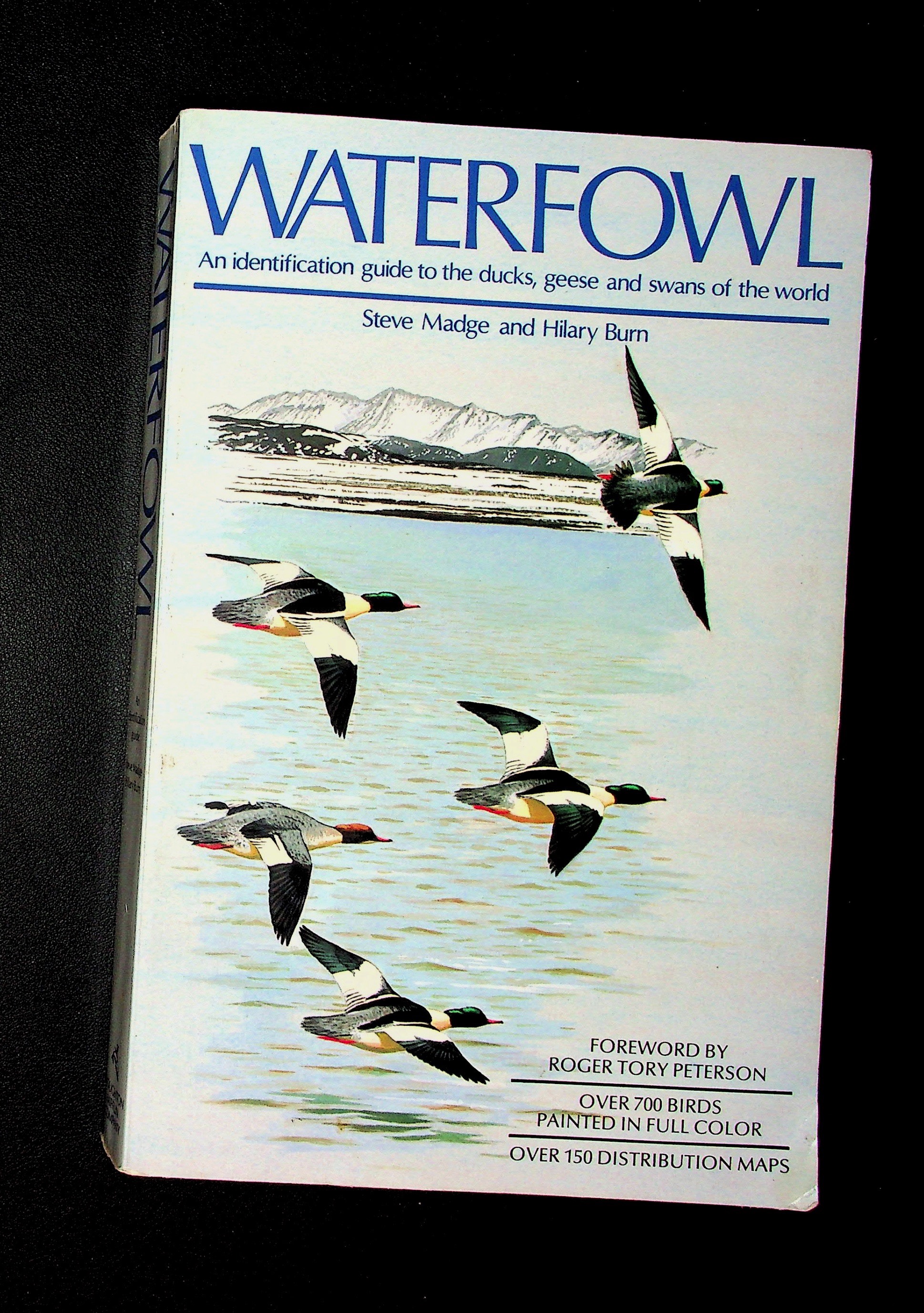 Waterfowl: An Identification Guide to the Ducks, Geese and Swans of the ...